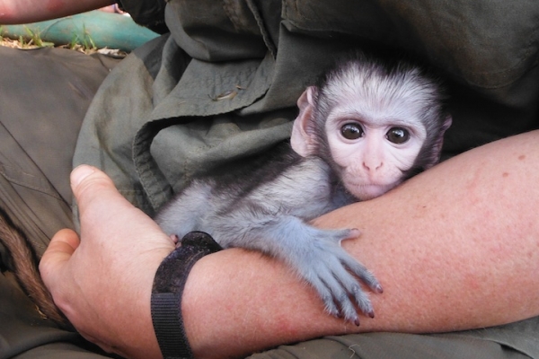 WILDLIFE SANCUARIES : CHIPANGALI « My Bulawayo